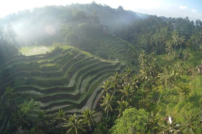 Hidden North Waterfall Bali All inclusive - Who Will Love This Tour?