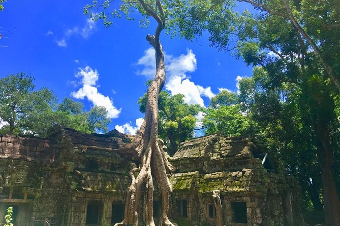 Highlight of Angkor Complex 2 Days Private Tour - The Sum Up