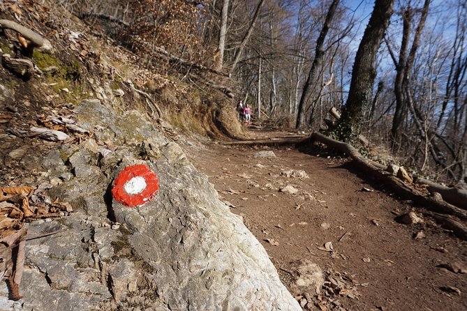 Hiking on the Edge of Ljubljana - Suitability for Travelers