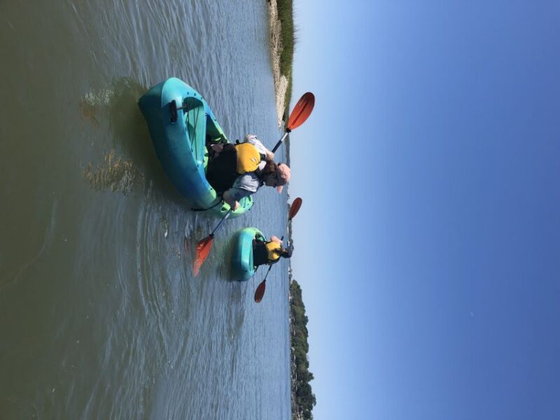 Hilton Head Island: 1.5-Hour Guided Small-Group Kayak Tour - Who Will Love This Tour?
