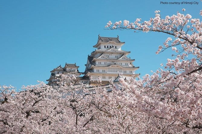 Himeji Castle and Akashi Kaikyo Bridge Walking Tour from Kyoto - Returning to Kyoto: A Relaxed 90-minute Train Ride