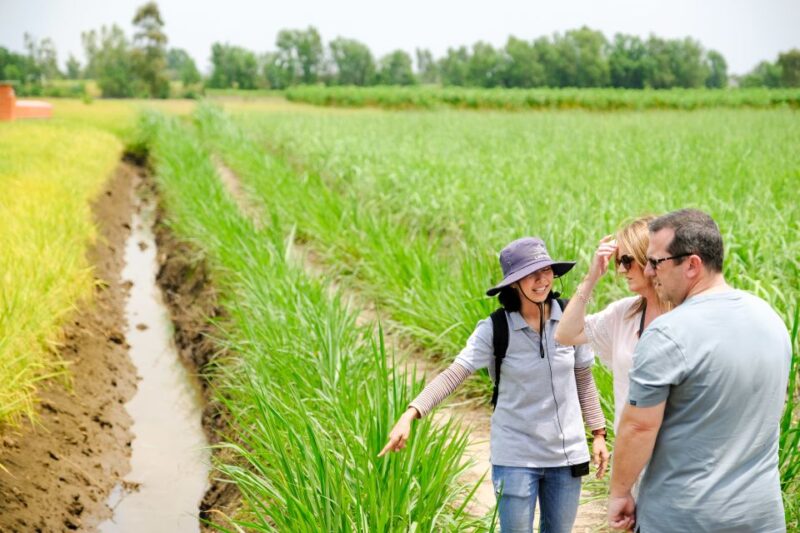 Ho Chi Minh City: Mekong Delta Full-Day Speedboat Tour - Authenticity and Real-World Feedback