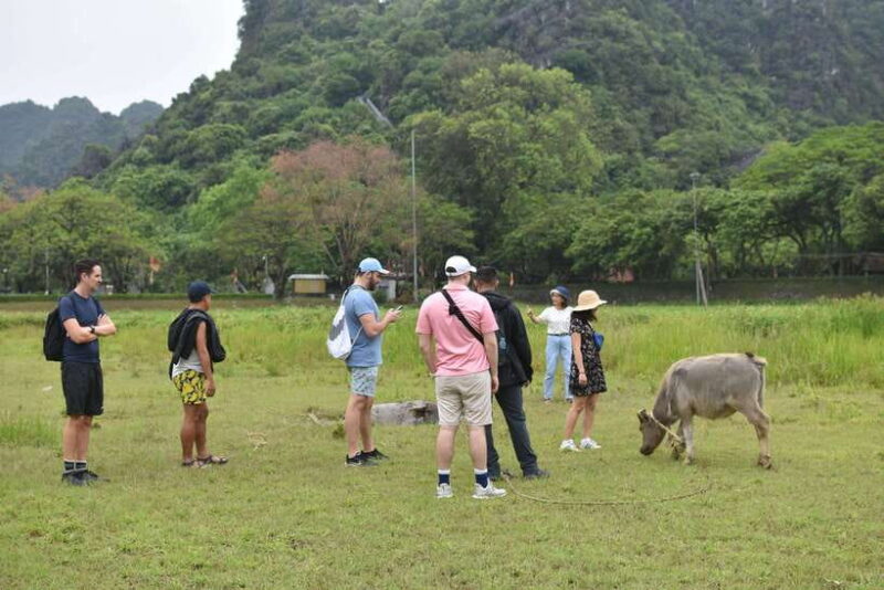 Hoa Lu Tam Coc Mua cave Day trip, best price - best selling - Who Will Love This Tour