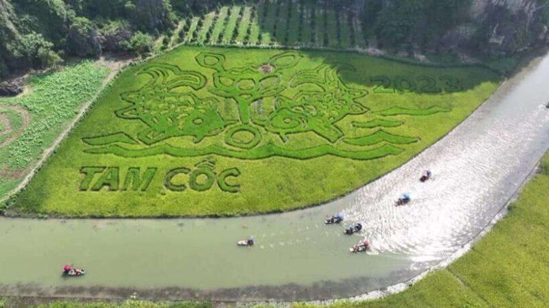 Hoa Lu  Tam Coc  Mua Cave: Full-Day Adventure Tour - Final Thoughts: Is It Worth It?