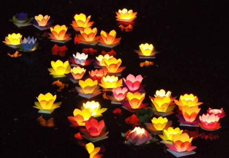 Hoai River Boat Trip with Release Lantern in Hoi An by Night - Who Will Love This Tour?