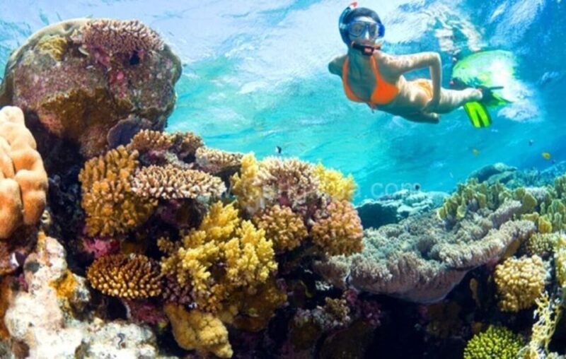 Hoi An: Cham Islands Snorkeling Trip by Speedboat with Lunch - Authentic Experiences Highlighted by Travelers