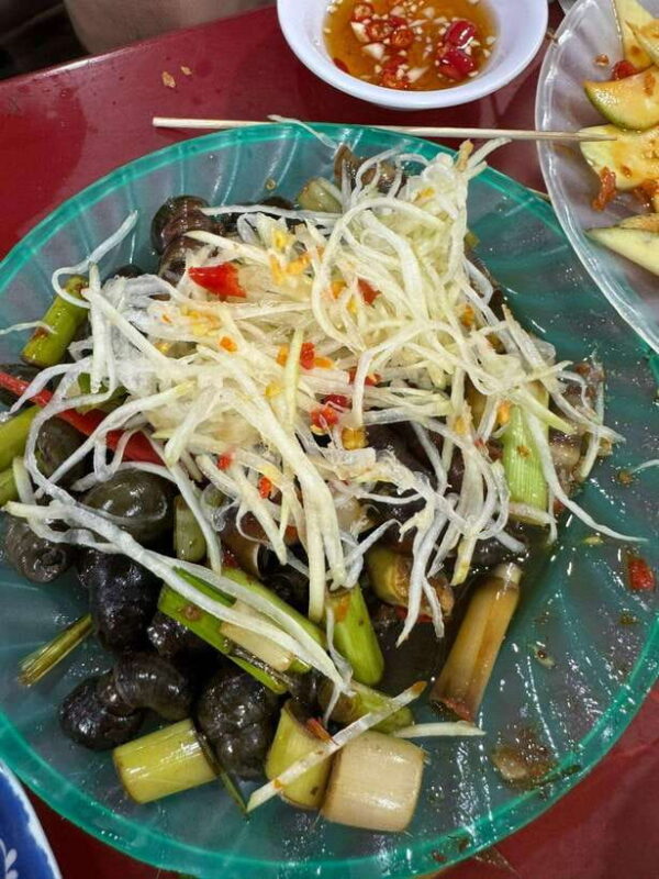 Hoi An City Sightseeing With Memories Show, Coconut Forest - Practicalities and Tips