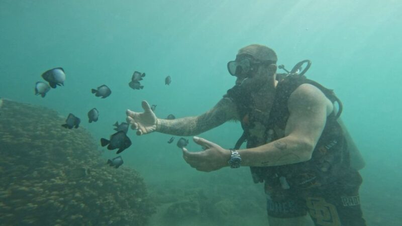 Honolulu: Beginner Scuba Diving Tour With Free Videos - Who Should Book This Tour?