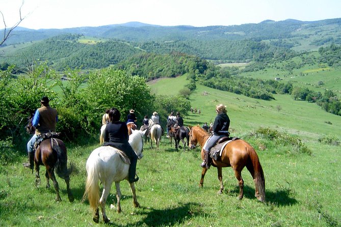 Horse riding excursion - The Sum Up