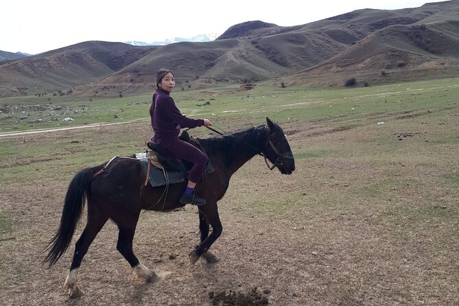 Horseback riding Tour - Who Is This Tour Best For?