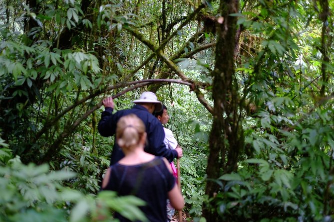 Inthanon Small-Group with Kew Mae Pan Trail from Chiang Mai include Lunch - FAQ