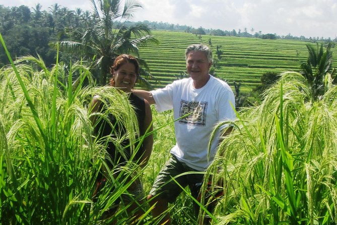 Jatiluwih full day e-bike cycling with lunch & trekking program - The Sum Up