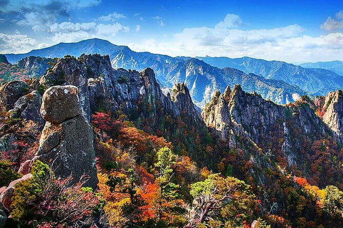 Jinhae Cherry Blossom-Yeojwacheon & Gyeonghwa St. Tour from Seoul - Who Should Consider This Tour?
