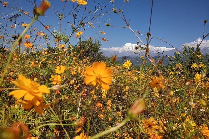 Kathmandu and Pokhara: A Journey Through Nepal's Cultural and Natural Wonders - How Good Is the Value?