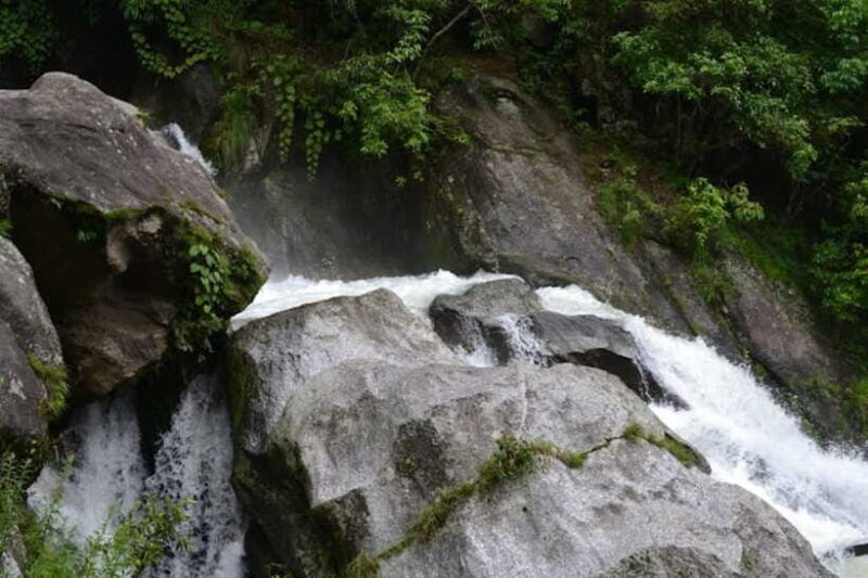 Kathmandu: Shivapuri National park Day Hiking - Practical Tips for Your Trip