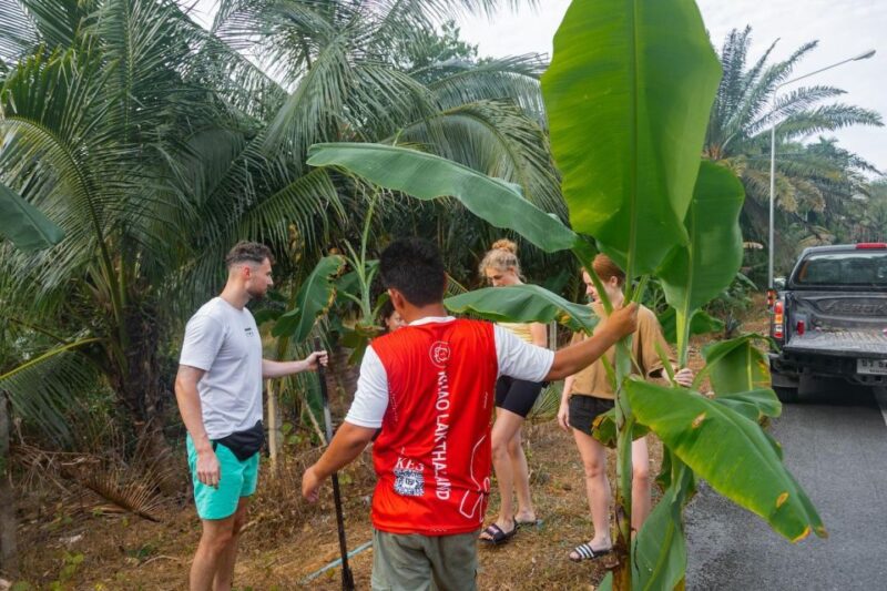 Khao Lak: All-Day Elephant Sanctuary Experience Small Groups - The Sum Up: Why This Tour Is a Solid Choice