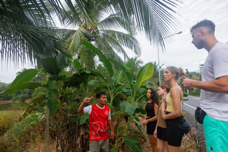 Khao Lak Eco Safari: Elephant Sanctuary Small Group Tour - FAQ