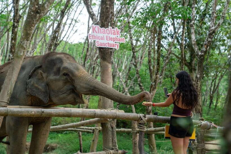 Khao Lak Multi-Adventure: Bamboo Rafting, ATV & Elephants - Why This Tour Works for You
