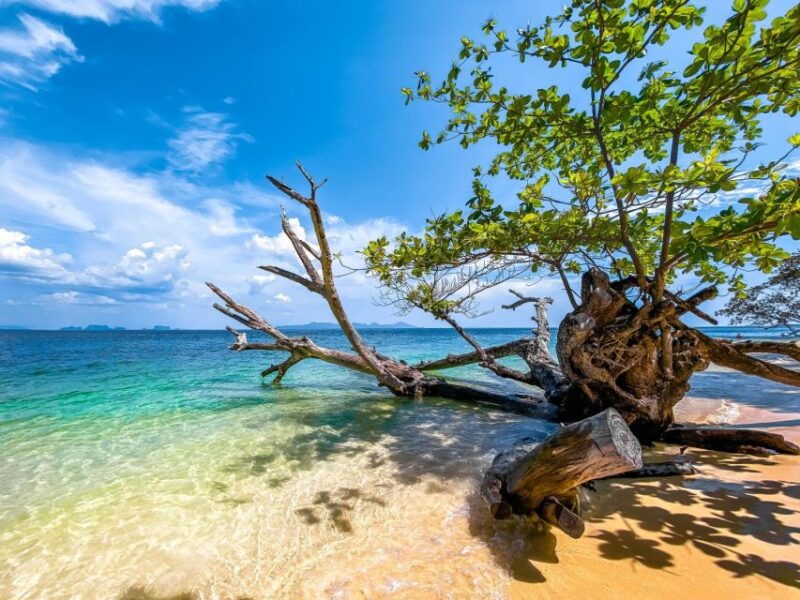 Ko Lanta: Early Bird the Emerald Caves and Koh Kradan Tour - The Sum Up