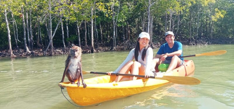 Ko Lanta: Half-Day Mangrove Eco Kayak Experience with Lunch - The Practicalities