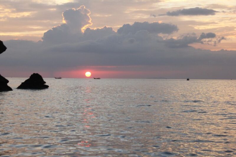 Ko Phi Phi Don: Speedboat Day Trip with Shark Snorkeling - Final Thoughts: Who Will Love This Tour?