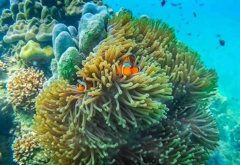 Koh Lanta: 4 Islands and Emerald Cave Snorkeling Trip - FAQs