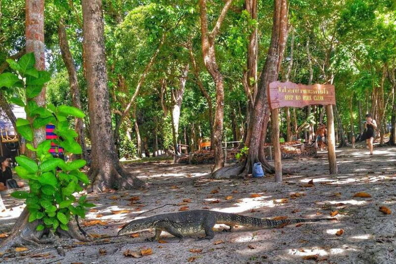 Koh Lanta: Adventure Sea Tour to Koh Rok and Koh Haa - FAQ