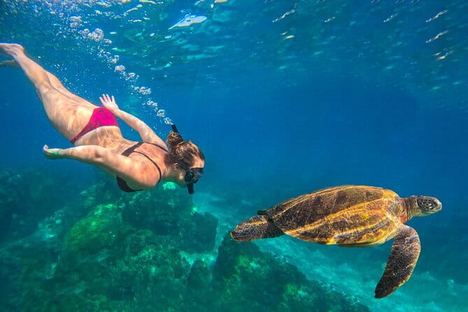 Koh Tao : Private Road Trip To 8 Famous Places - Who Should Consider This Tour?