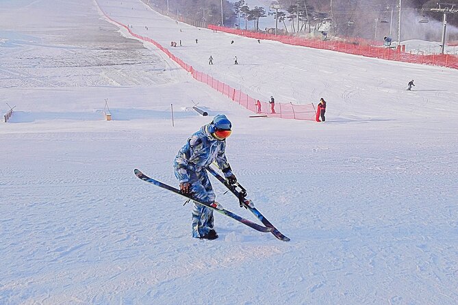 Korea Ski Tour from Seoul - Jisan Forest Resort - Potential Downsides