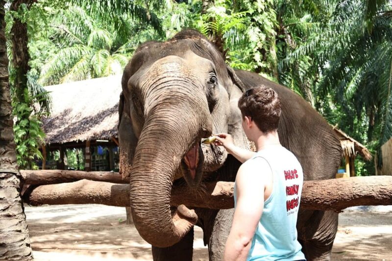Krabi: Elephant Shelter and Khaothong Hills (Private Tour) - The Sum Up