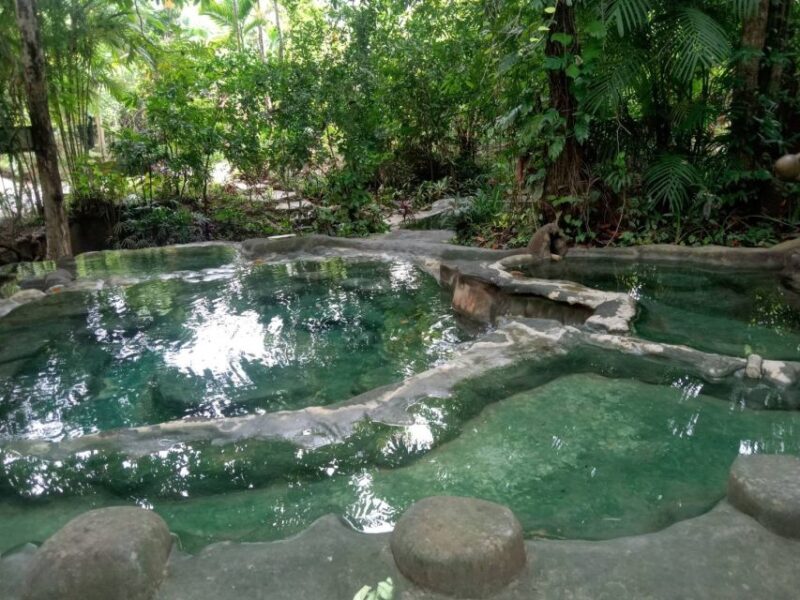 Krabi: Spa and Therapy Half, 1-Hour, or Full-Day Packages - The Wellness Lunch and Additional Activities
