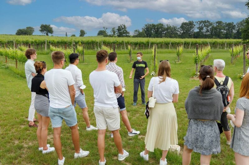 Lazise: Winery Tour with Garda Wines and Food Tasting - Final Thoughts