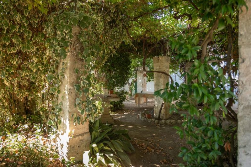 Lecce: Golden Vine Escape - Sunset Picnic & Wine Tasting - Final Thoughts