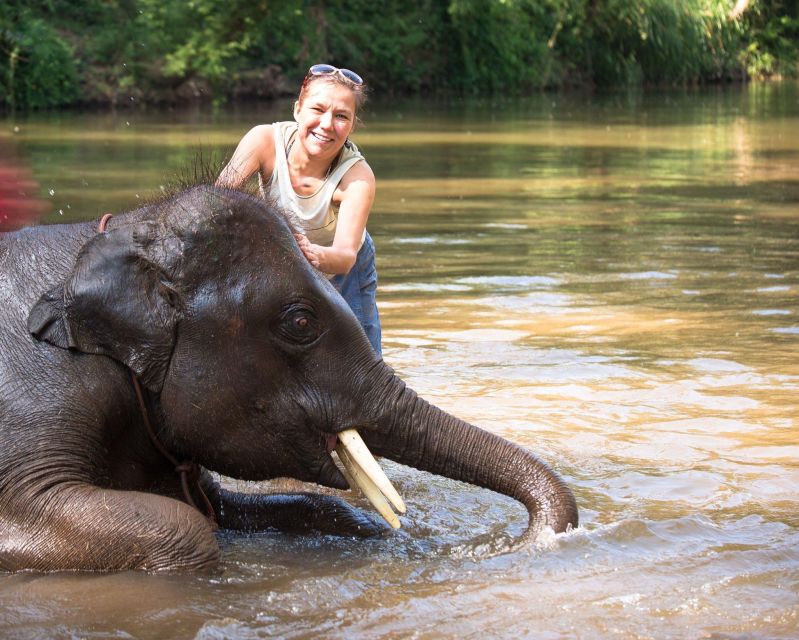 luxury Chitwan Jungle safari 4 days tour - Final Thoughts