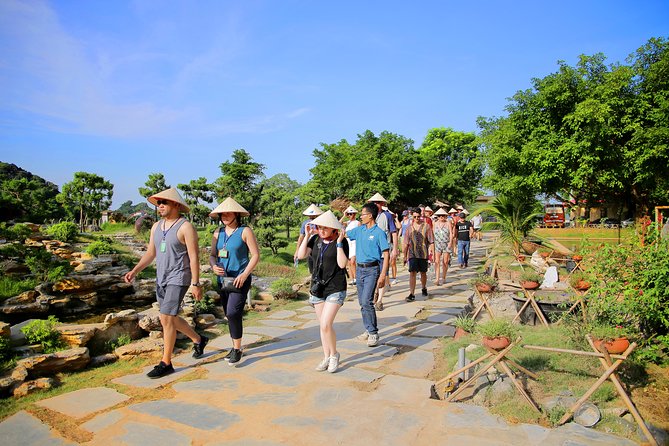Luxury Hoa Lu Tam Coc Mua Cave 1 Day With Limousine Bus And Lunch - FAQ