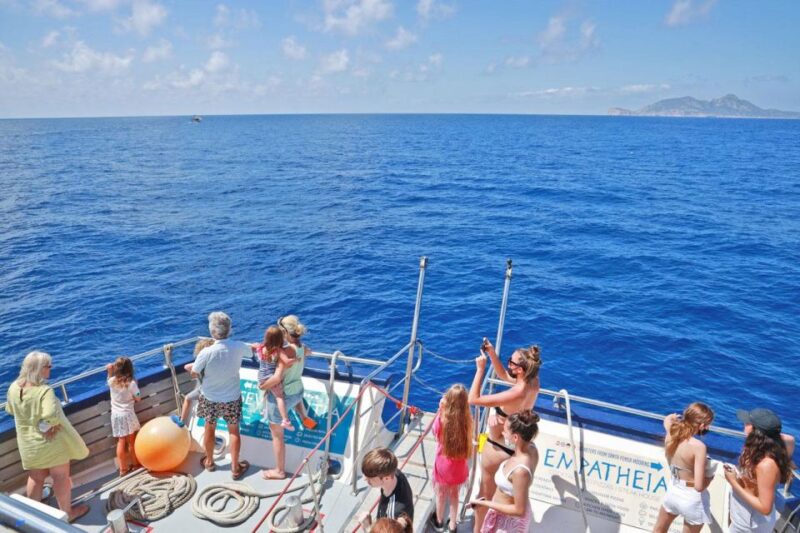 Mallorca: 3-Hour Afternoon Dolphin Watching Boat Tour - FAQ