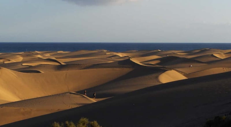 Maspalomas: 2-Seater E-Scooter Dunes Tour with Camel - The Bottom Line