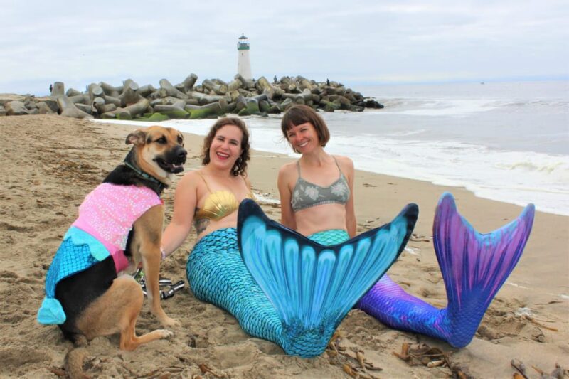 Maui: Mermaid Experience & Photoshoot - The Experience’s Highlights—Based on Reviews