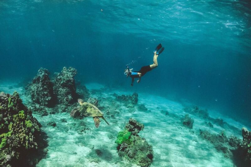 Maui: Semi-Private 3 Hour Eco-Raft Turtle Snorkel Tour - Authentic Maui Experience
