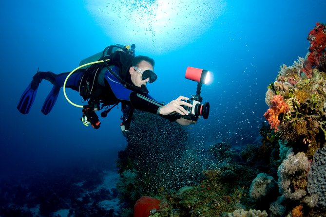 Menjangan island for Certified Scuba Divers full day boat trip, 2 dives + lunch - Frequently Asked Questions