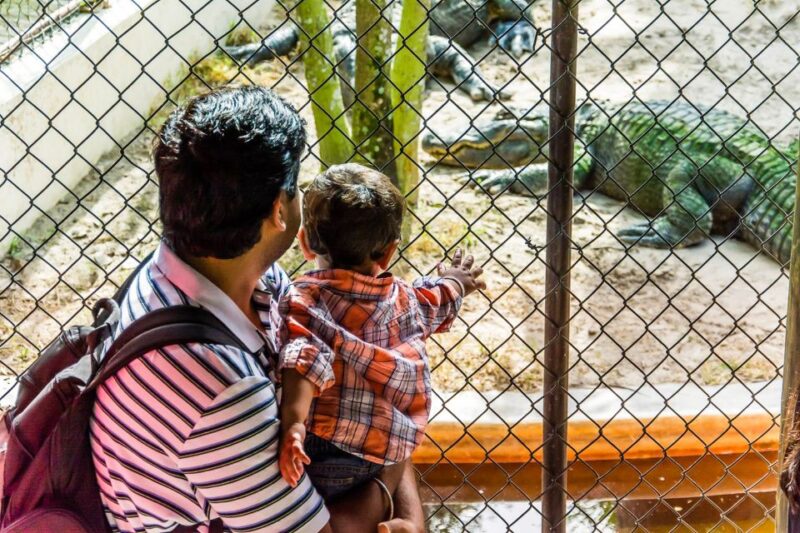 Miami: Everglades Safari Park Airboat Tour - Authentic Feedback from Visitors