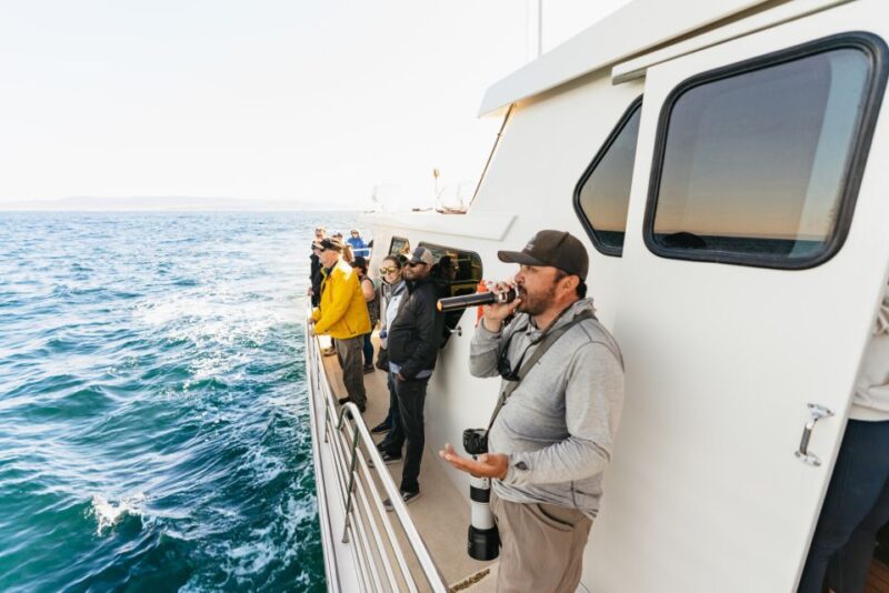 Monterey Bay: Whale Watching Tour - Final Thoughts