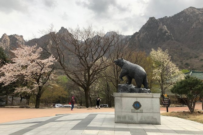 Mt. Seorak+Nami Island+Garden of Morning Calm Day Trip from Seoul - FAQs