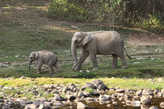 Munnar Daily Tour - FAQs