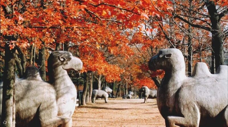 Nanjing: Private Customized City Highlights Tour with Lunch - Final Thoughts