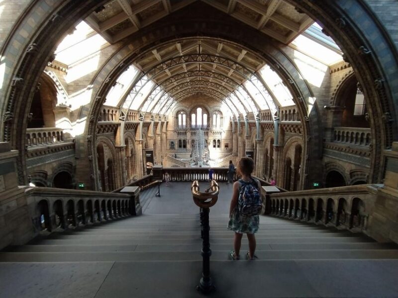 Natural Museum: Butterflies, Gems, Dinosaurs Explored - Authentic Feedback and Experience