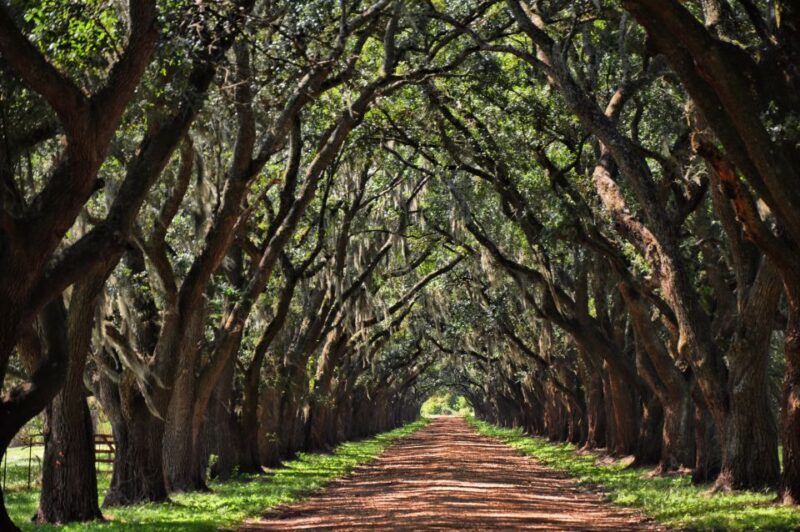 New Orleans: Destrehan Plantation, Houmas House & Lunch - Final Thoughts