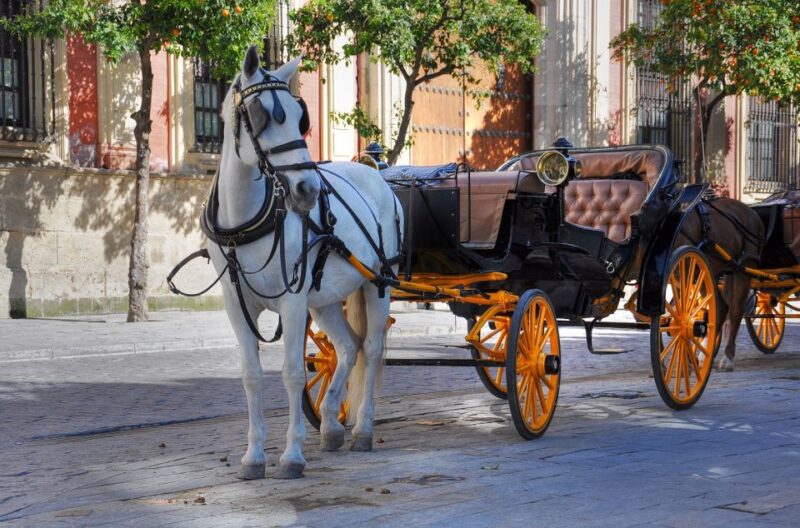 New York: Carriage Ride in Central Park - The Sum Up: Who Should Consider This?