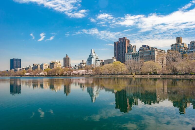 New York City: Minivan Tour - Authentic Insights from Reviews
