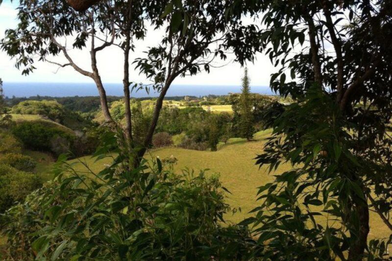 North Maui: 7 Line Zipline Adventure with Ocean Views - The Experience for Different Travelers
